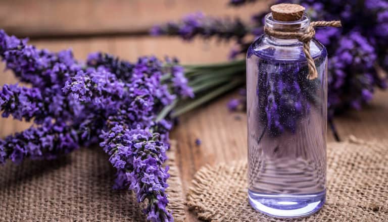 Tipos de fragrância: saiba como escolher a ideal